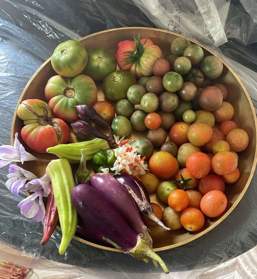 Ulavar Anand | Native Seed | Grow Bags | Grocery | Millets