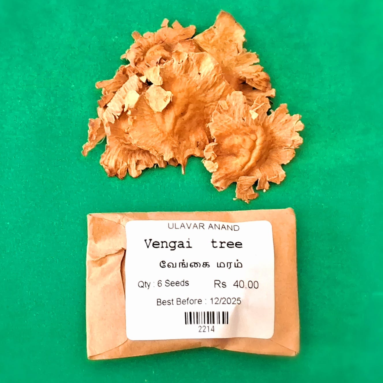 Vengai Maram | Pterocarpus marsupium | வேங்கை மரம்