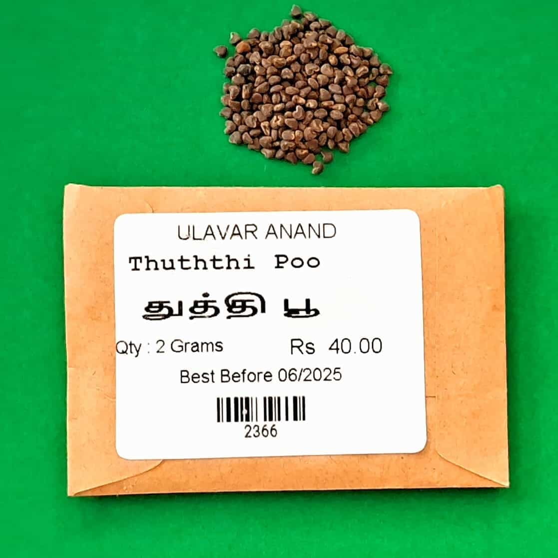 துத்தி பூ | Thuththi Poo