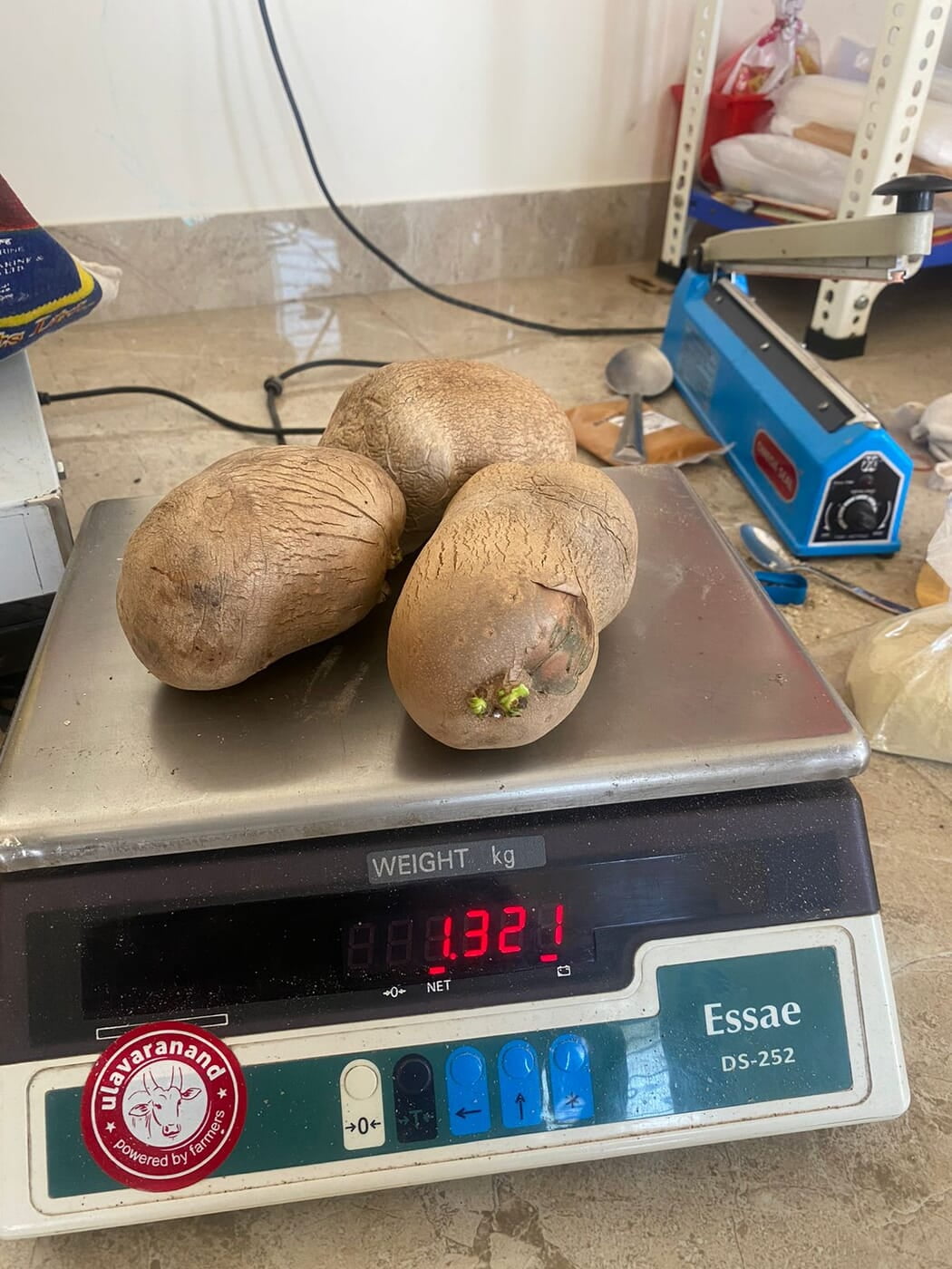Air potato | கொடி உருளை விதை கிழங்கு 1KG