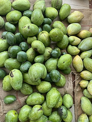 Organic Mango KolliHills Ulavar Anand