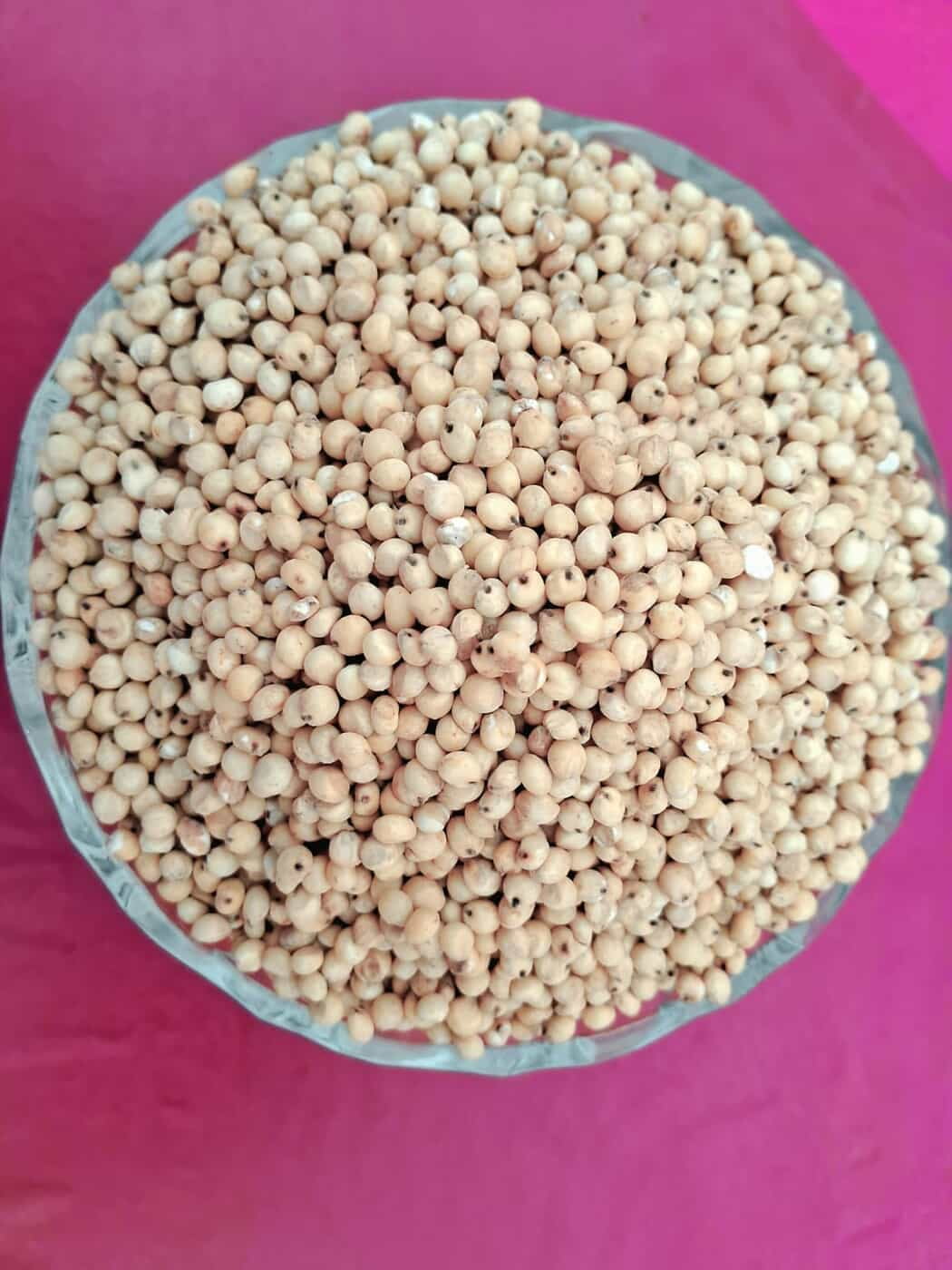 WHITE SOLAM 1KG (வெள்ளை சோளம் | 1 Kg)