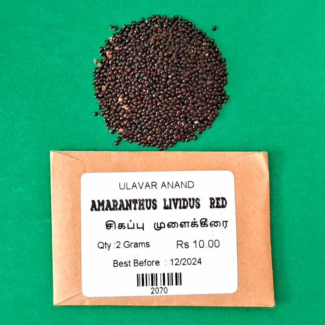 MULAI KEERAI RED ( AMARANTHUS ) | சிகப்பு முளைக்கீரை
