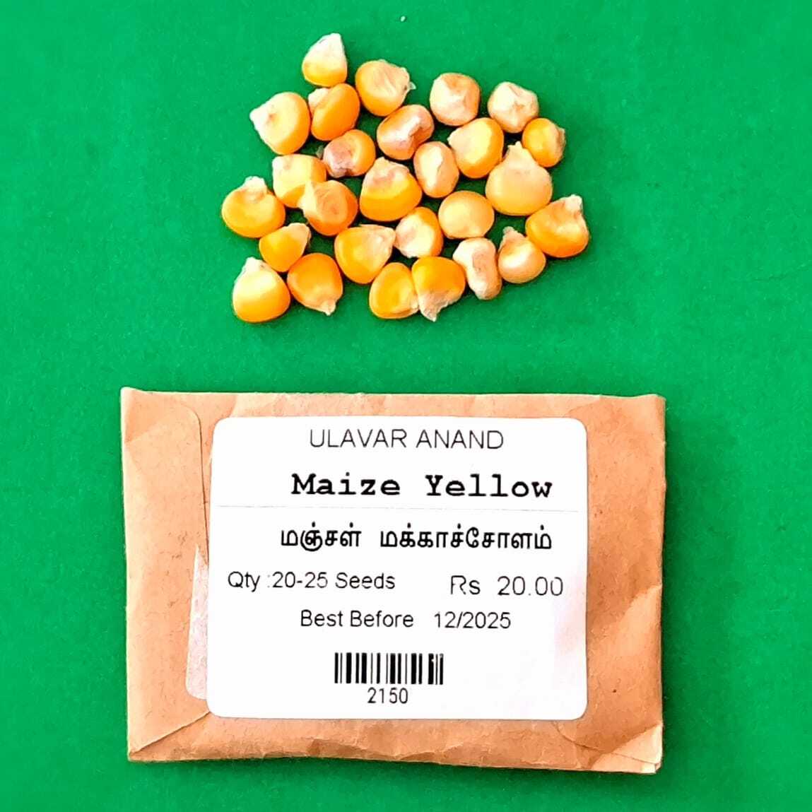 MAIZE YELLOW NATIVE CORN - MAKKASOLAM | மக்காசோளம்- மஞ்சள்